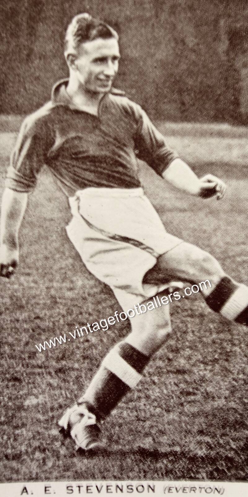 Stevenson Alex Image 2 Everton 1938 - Vintage Footballers