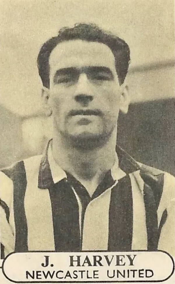 Harvey Joe Image 5 Newcastle United 1951 - Vintage Footballers